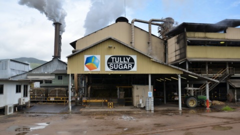 Tully Sugar